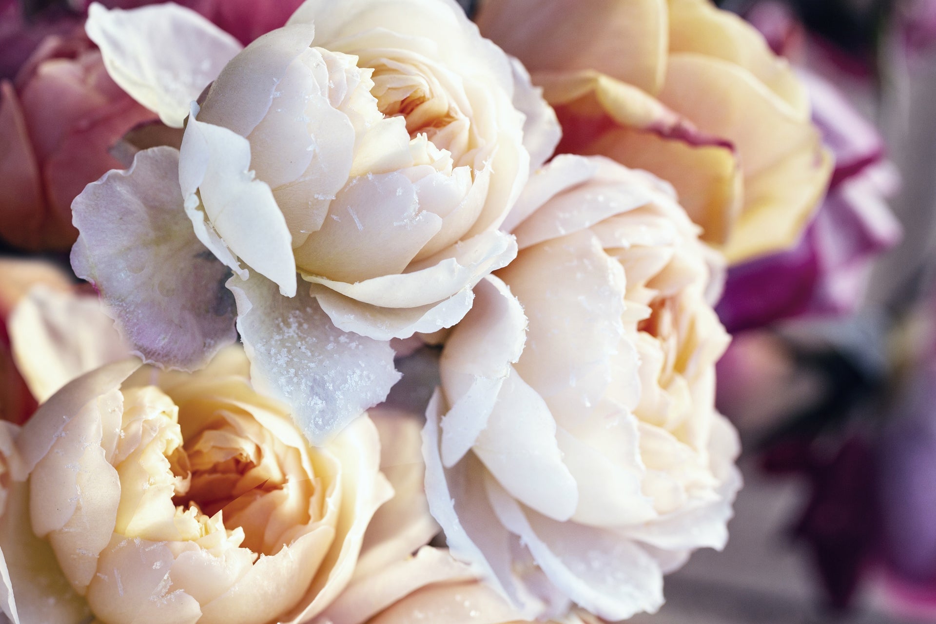 Winter Flowers Delivery Galloway | Rj Flowers Design–Rj Flowers Design